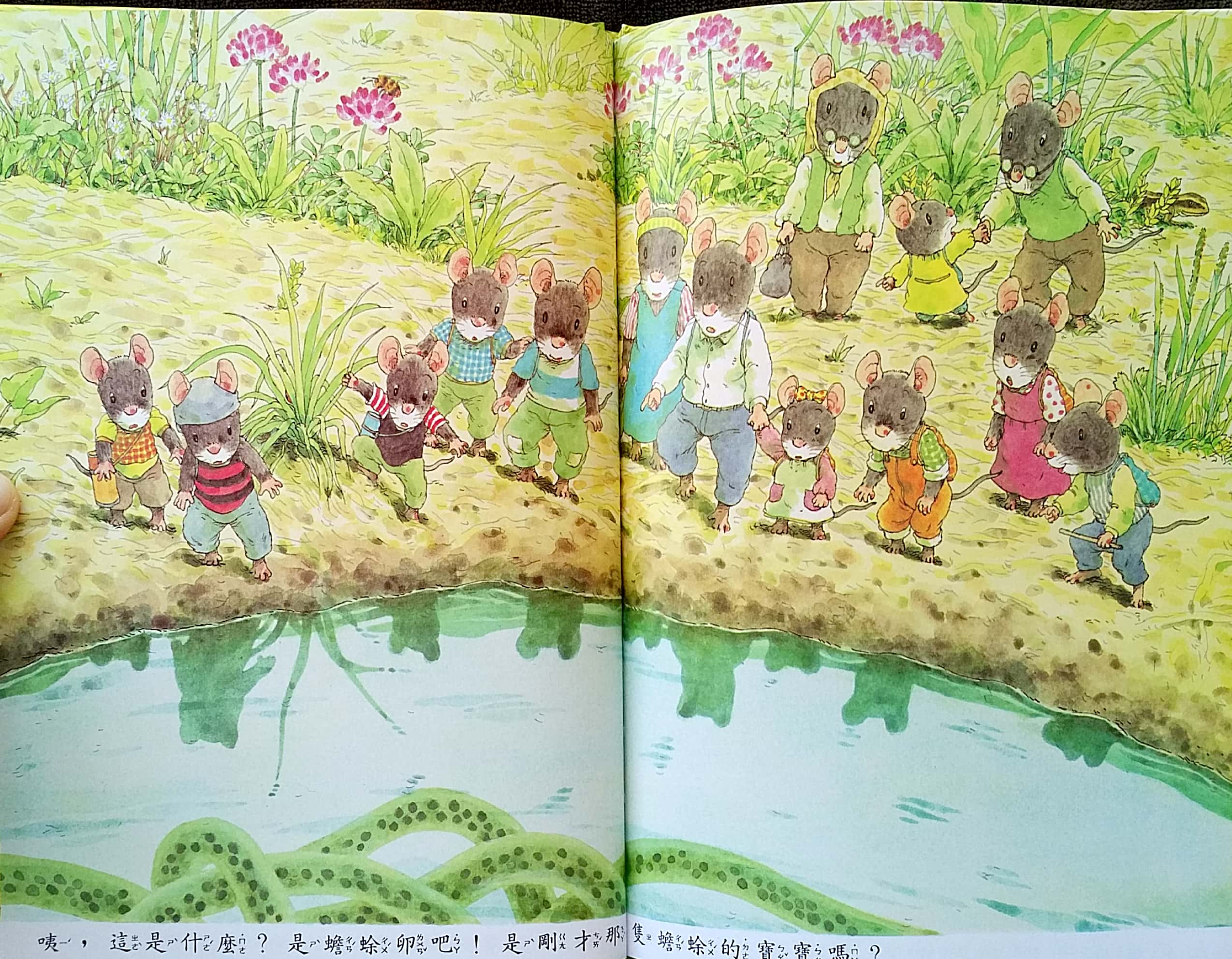 Book Review: 14隻老鼠系列套書 — 14 Mice (12 books) – Motherly Notes Methods ...