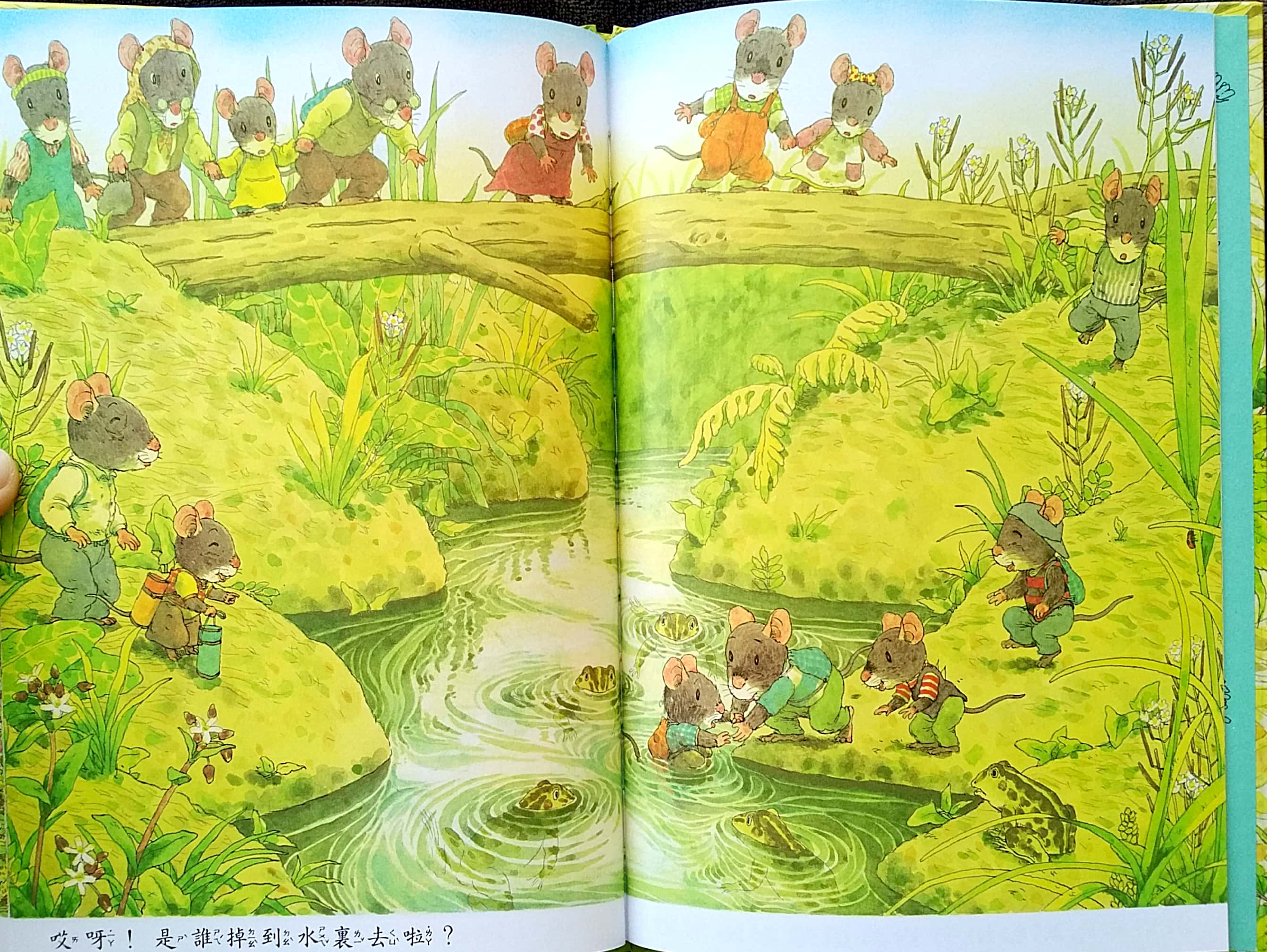 Book Review: 14隻老鼠系列套書 — 14 Mice (12 books) – Motherly Notes Methods ...