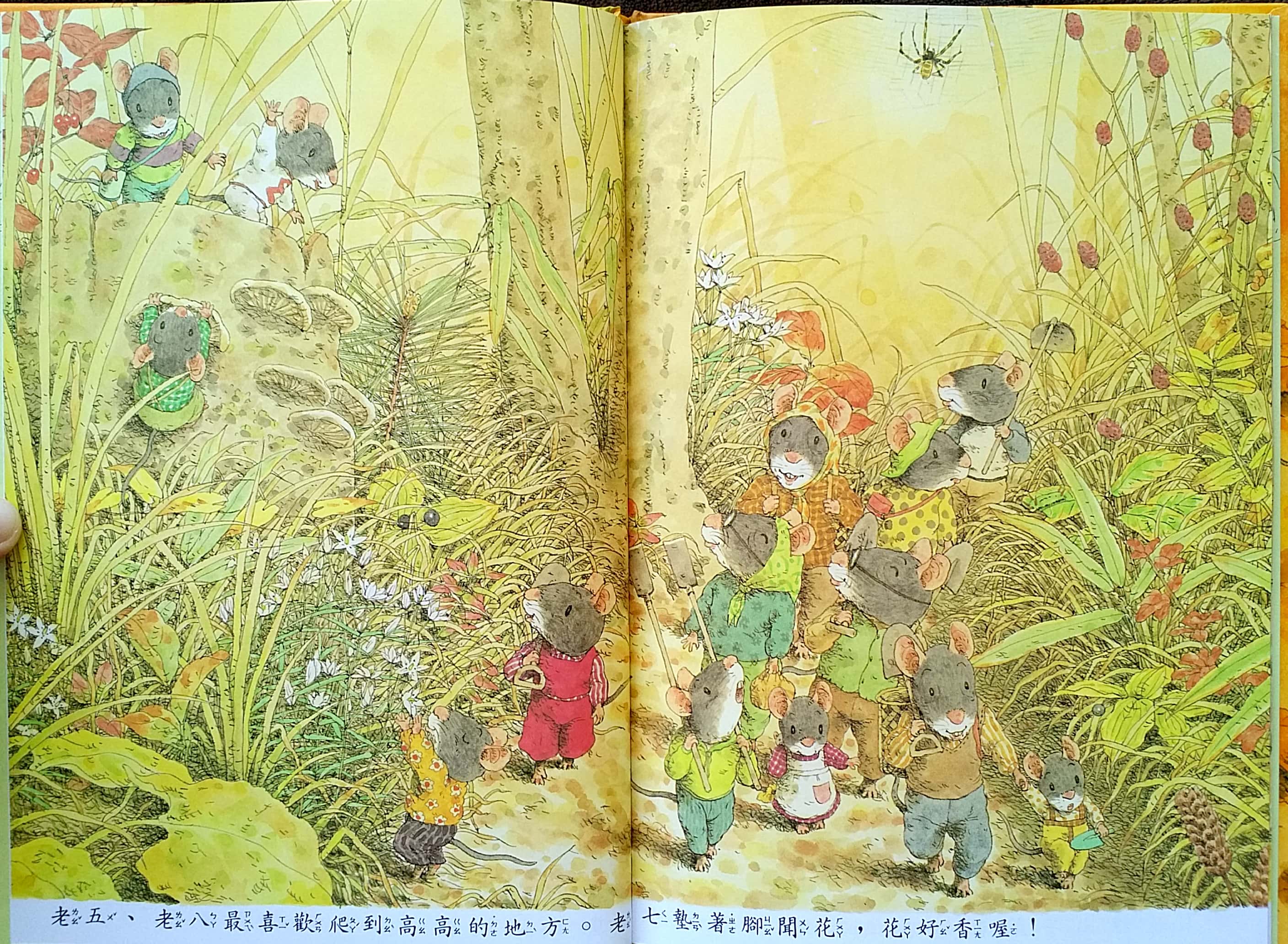 Book Review: 14隻老鼠系列套書 — 14 Mice (12 books) – Motherly Notes Methods ...