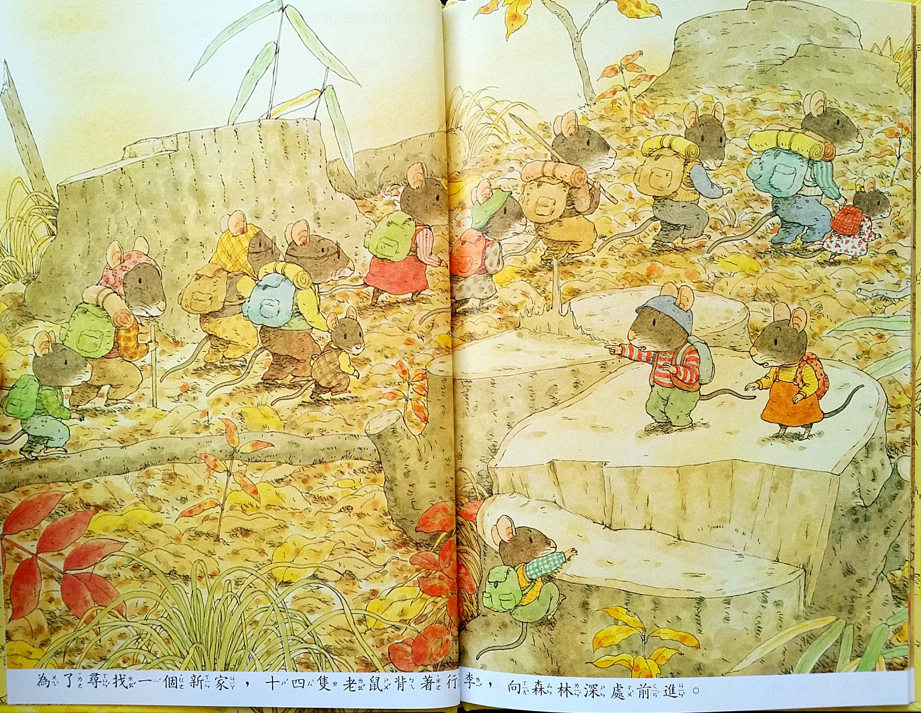 Book Review: 14隻老鼠系列套書 — 14 Mice (12 books) – Motherly Notes Methods ...