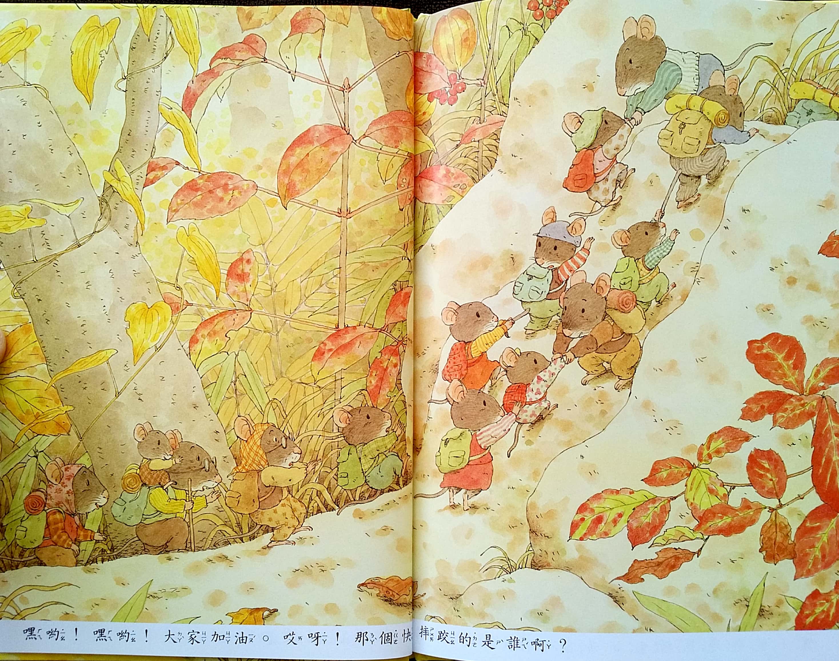 Book Review: 14隻老鼠系列套書 — 14 Mice (12 books) – Motherly Notes Methods ...